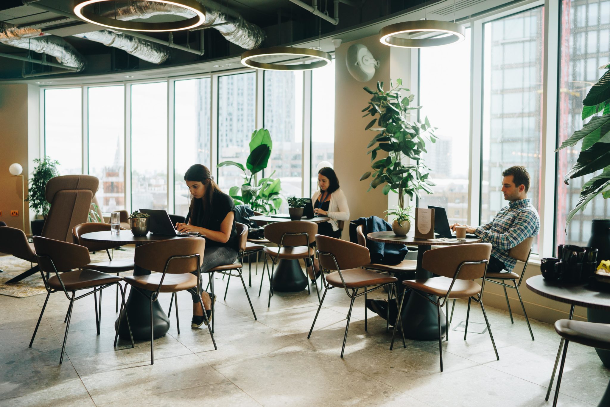 From Office to Eco-Office: What Makes Your Workspace More Sustainable ...